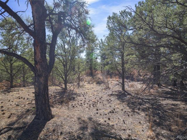 Rancho La Garita Lot 1129