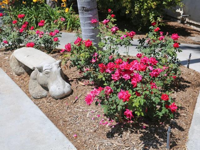 Rancho Monterey 2 Bedroom Apartment for Rent at 13212 Magnolia St, Garden Grove, CA 92844