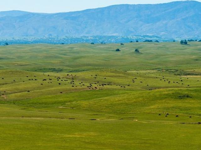Rancho Tehama Rd, Red Bluff, CA 96021