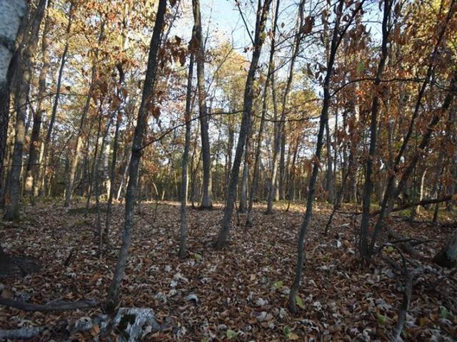Ranchette Dr, Breezy Point, MN 56472