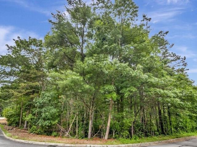 Randall Farm Dr, Easton, Plot For Sale