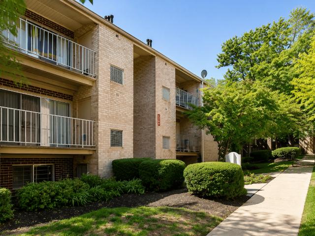 Randle Hill 1 Bedroom Apartment for Rent at 3320 6th St Se Apt 204, Washington, DC 20032 Congress Heights