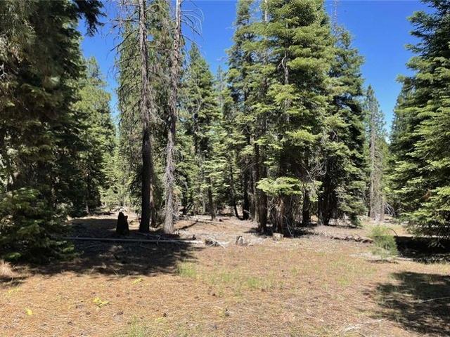 Range Rd, Alturas, CA 96101