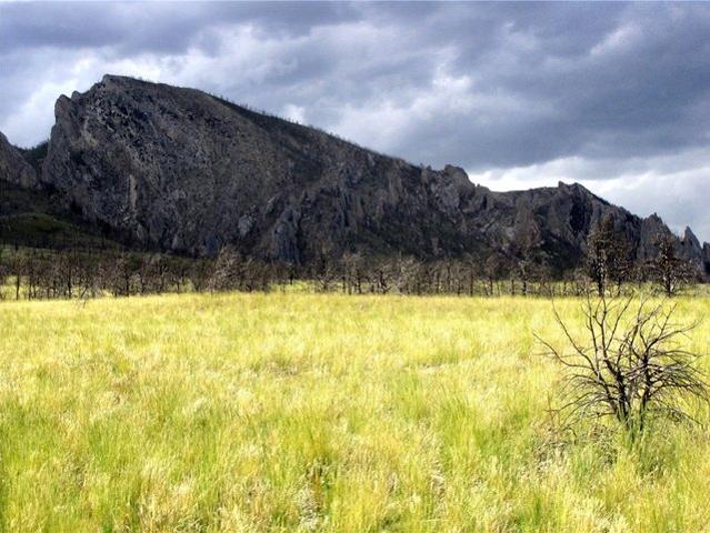 Ranger 942 Way Lot Bvr, Belfry, MT 59008