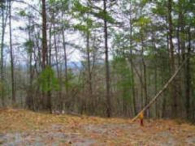 Ranger, GA, Gordon County Land/Lot for Sale