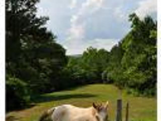 Ranger, GA, Pickens County Home for Sale 6 Bed 4 Baths