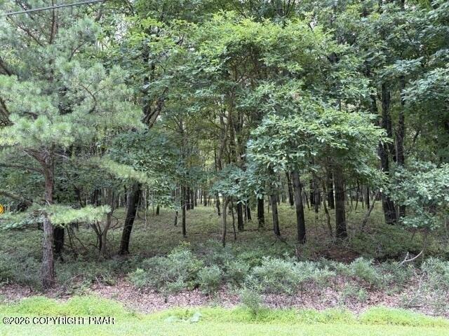 Ranier Rd, Effort, PA 18330