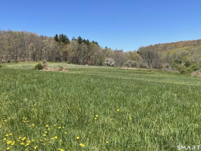 Ranney Hill Rd, Roxbury, Plot For Sale