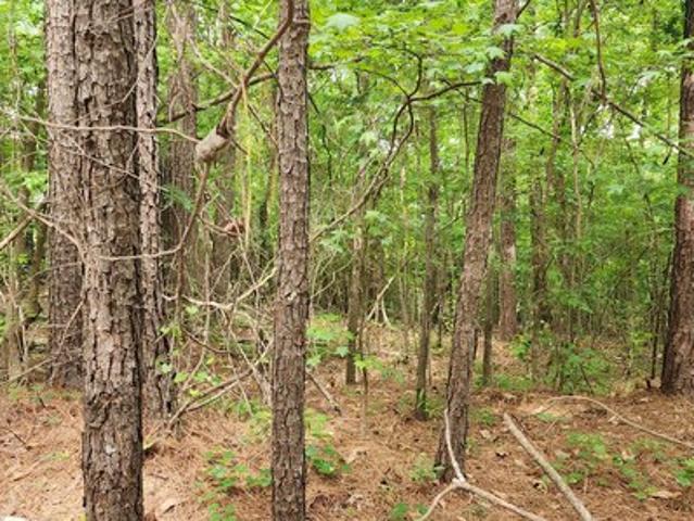 Rabbit Farm Rd, Loganville, GA 30052