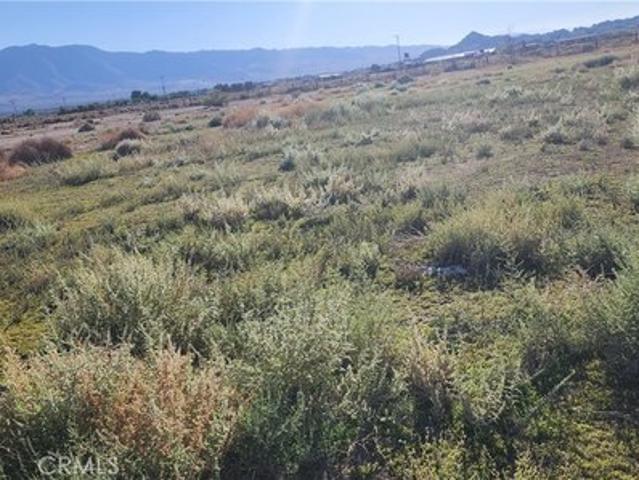 Rabbit Springs Rd, Lucerne Valley, CA 92356