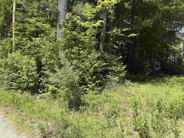 Rabbit Path Lot,hillsborough, Plot For Sale
