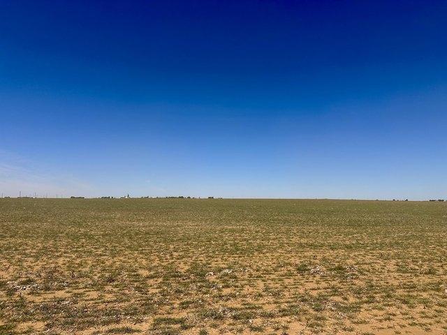 Rabbit, Ropesville, TX 79358