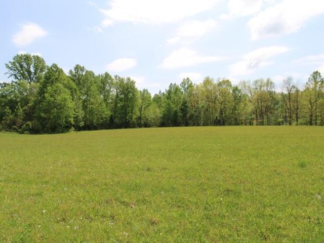 Rabe Coats Rd, Westmoreland, TN 37186