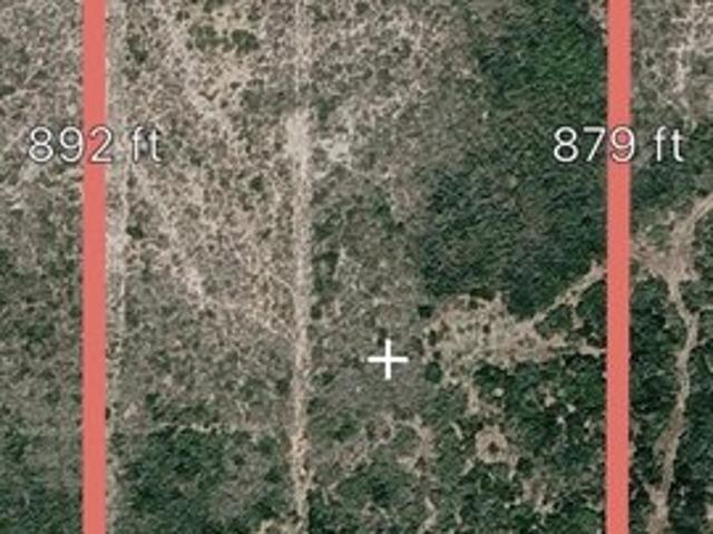 Raccoon Dr Lot 83, George West, TX 78022