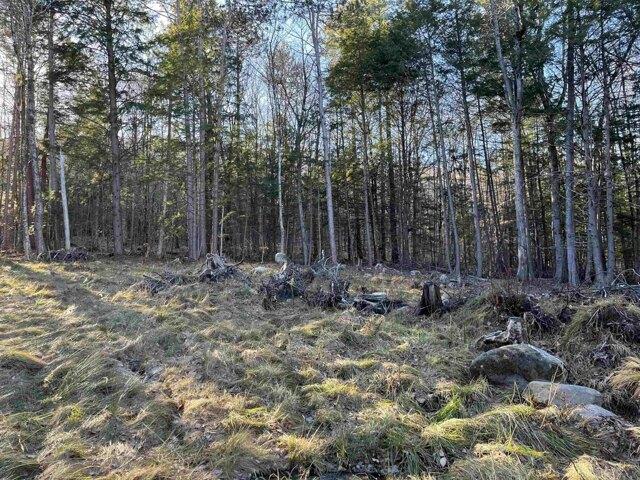 Raccoon Hill Lot Map Rd Lot,salisbury, Plot For Sale