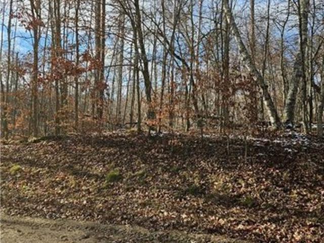 Raccoon Ln Lot 1, Breezy Point, MN 56472