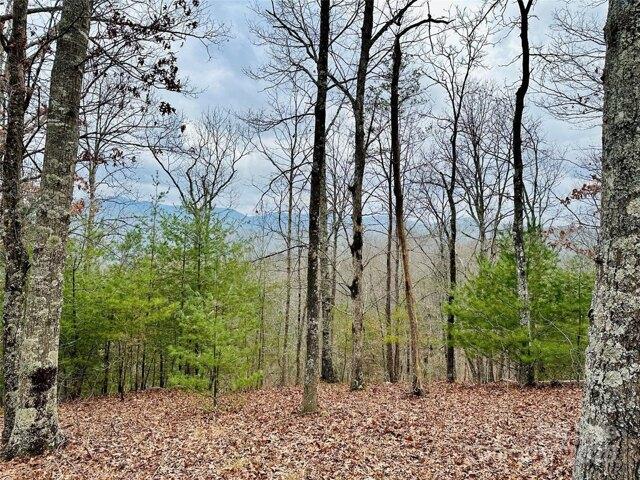 Raccoon Run Unit,marshall, Plot For Sale