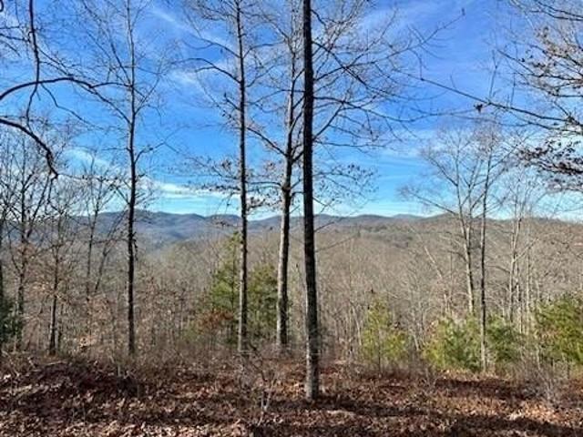 Raccoon Run Unit,marshall, Plot For Sale