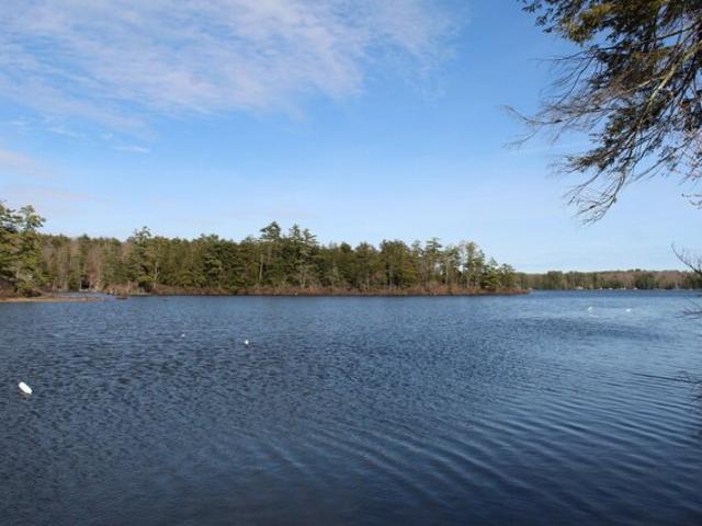 Racoon Rd, Acton, Plot For Sale