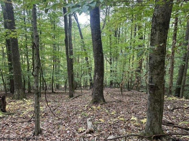 Racoon Run, Elkins, WV 26241
