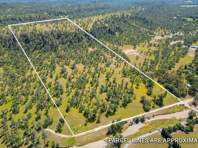 Racoon Way, Oak Run, CA 96069