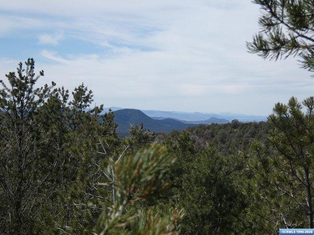 Radio Tower Rd, Pinos Altos, NM 88053