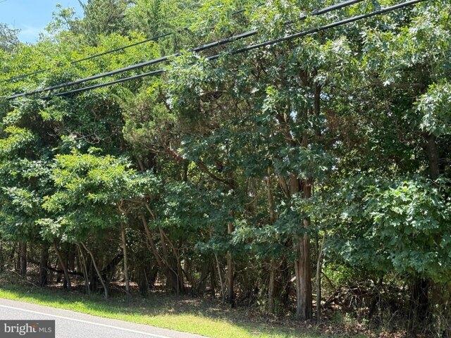 Radio Rd, Little Egg Harbor Township, Plot For Sale