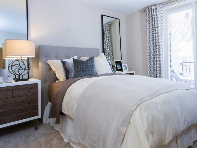 Radius 1 Bedroom Apartment for Rent at 620 Veterans Blvd, Redwood City, CA 94063 Centennial