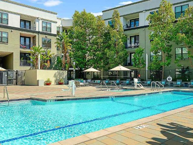 Radius 1 Bedroom Apartment for Rent at 620 Veterans Blvd, Redwood City, CA 94063 Centennial