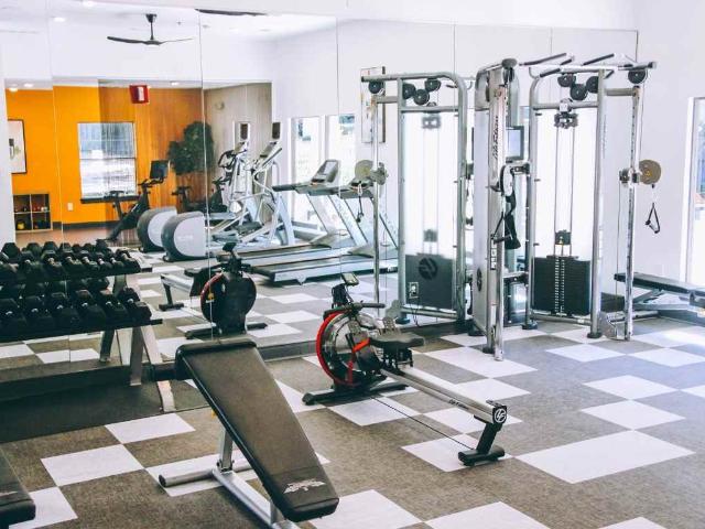 Radius at The Domain 1 Bedroom Apartment for Rent at 11900 Hobby Horse Ct, Austin, TX 78758 North Burnet