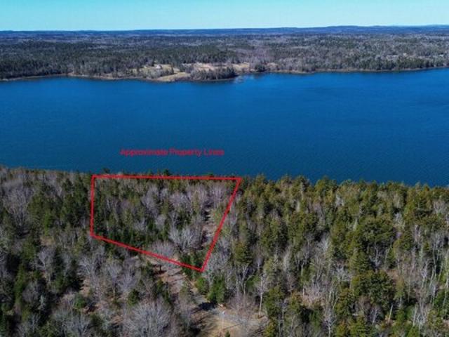Raft Cove Rd, Trescott Township, Plot For Sale