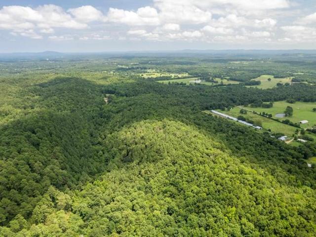 Ragweed Valley Rd, Royal, AR 71968