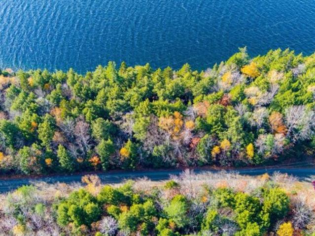 Railroad Bed Rd, Lake View Plt, Plot For Sale