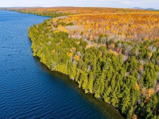 Railroad Bed Rd, Lake View Plt, Plot For Sale