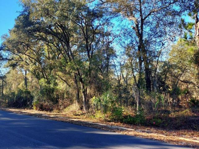 Rainbow Lakes Estates FL 34431 101012216