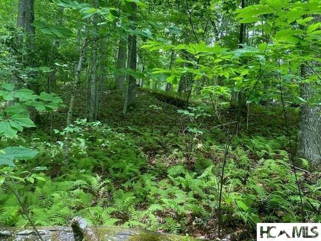 Rainbow Trout Lot 25, Tuckasegee, NC 28783