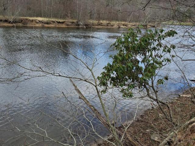 Rainbow Trout Terrace