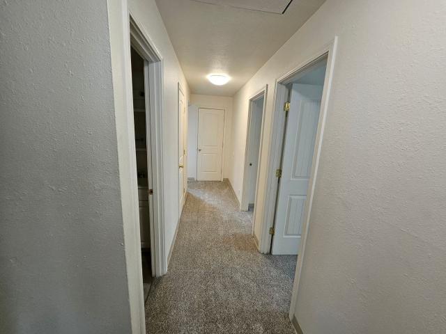 Rainbo 2 Bedroom Apartment for Rent at 1250 Rainbow Dr, Springfield, OR 97477