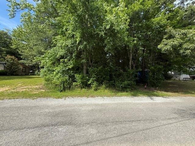 Raintree Dr, Big Sandy, TN 38221