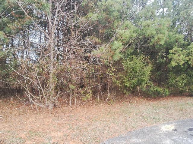 Raintree Lane, Kingston, TN 37763