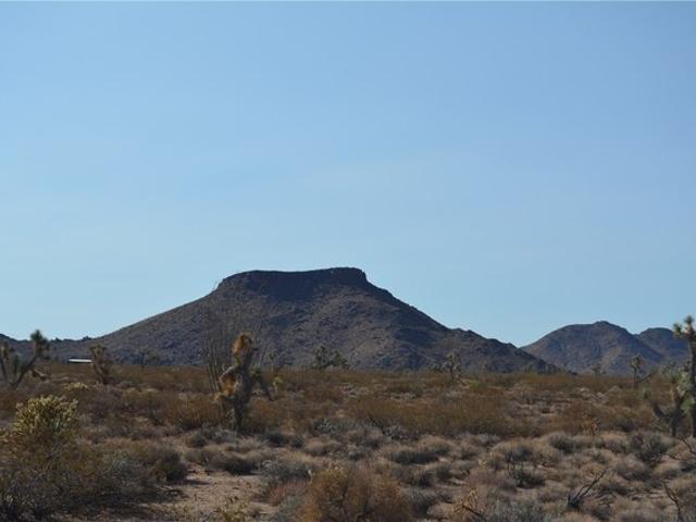 Raley Rd Parcel O4, Yucca, AZ 86438