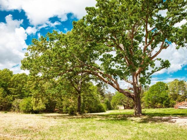 Ralph Goolsby Rd, Lincolnton, GA 30817