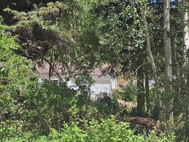 Ralston Creek Rd