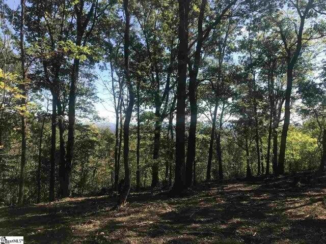 Raptor Way, Landrum, Plot For Sale