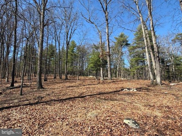 Rapids Point Trl Lot 43, Great Cacapon, WV 25422