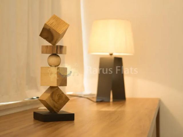 Rarus Flats Flat para locação Edifício VN Ferreira Lobo