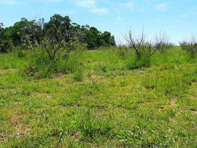 RARIDADE! ÁREA RURAL VASTAMENTE PLANA EM COCUERA