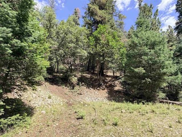Raspberry Hill Rd, Cloudcroft, NM 88317