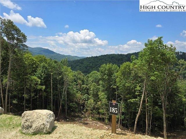 Raspberry Ln Lot 185, Elk Park, NC 28622