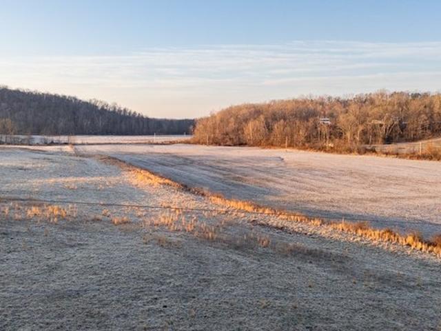 Rattlesnake Ferry Rd, Alto Pass, IL 62905